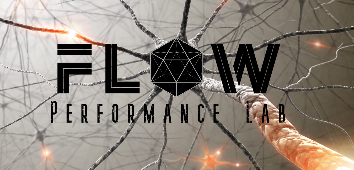 Consciousness Optimization Lab