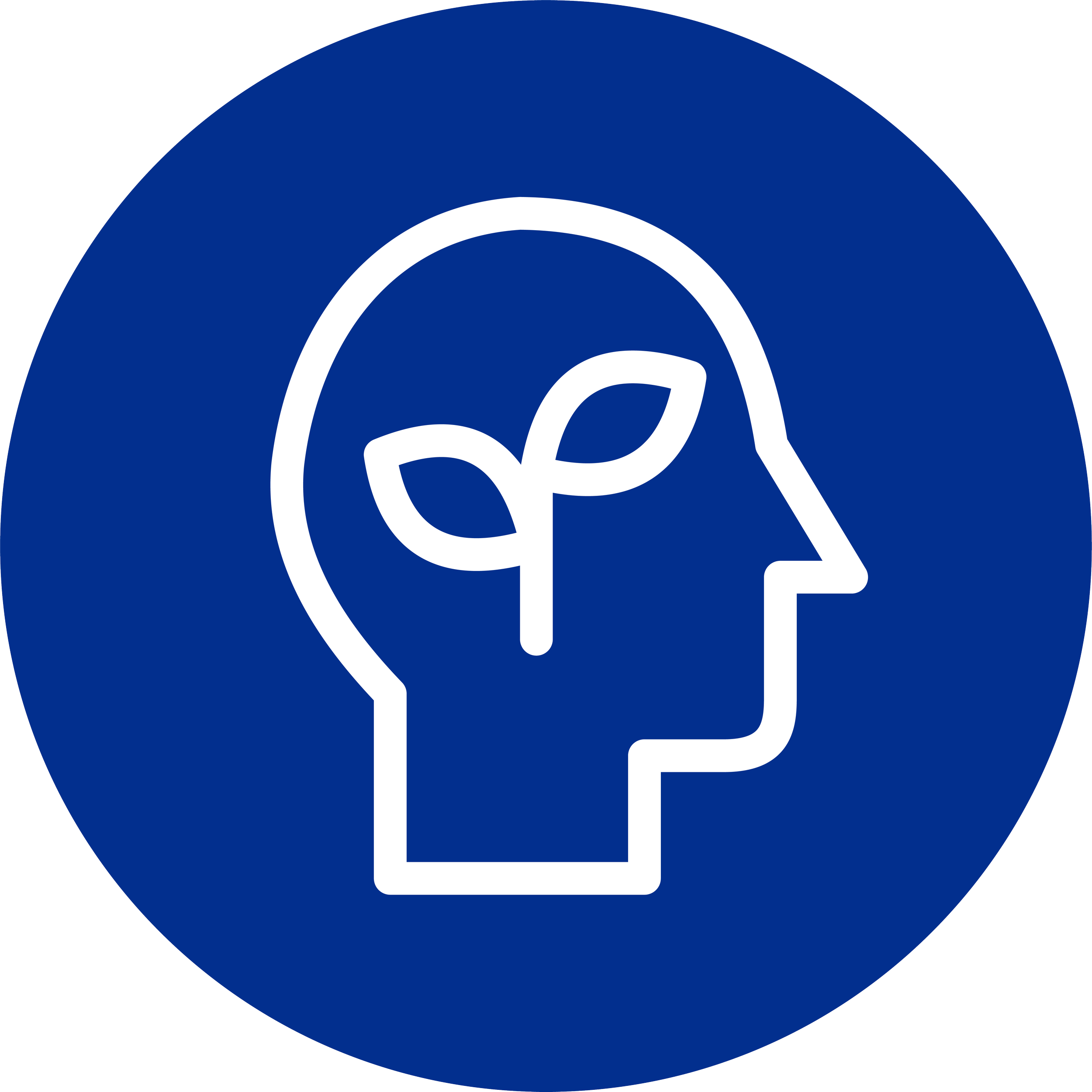 Benefits — Mastermind Chess