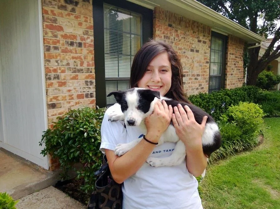 Expert Dog Training & Behavior Services in Austin — Hearts and Paws