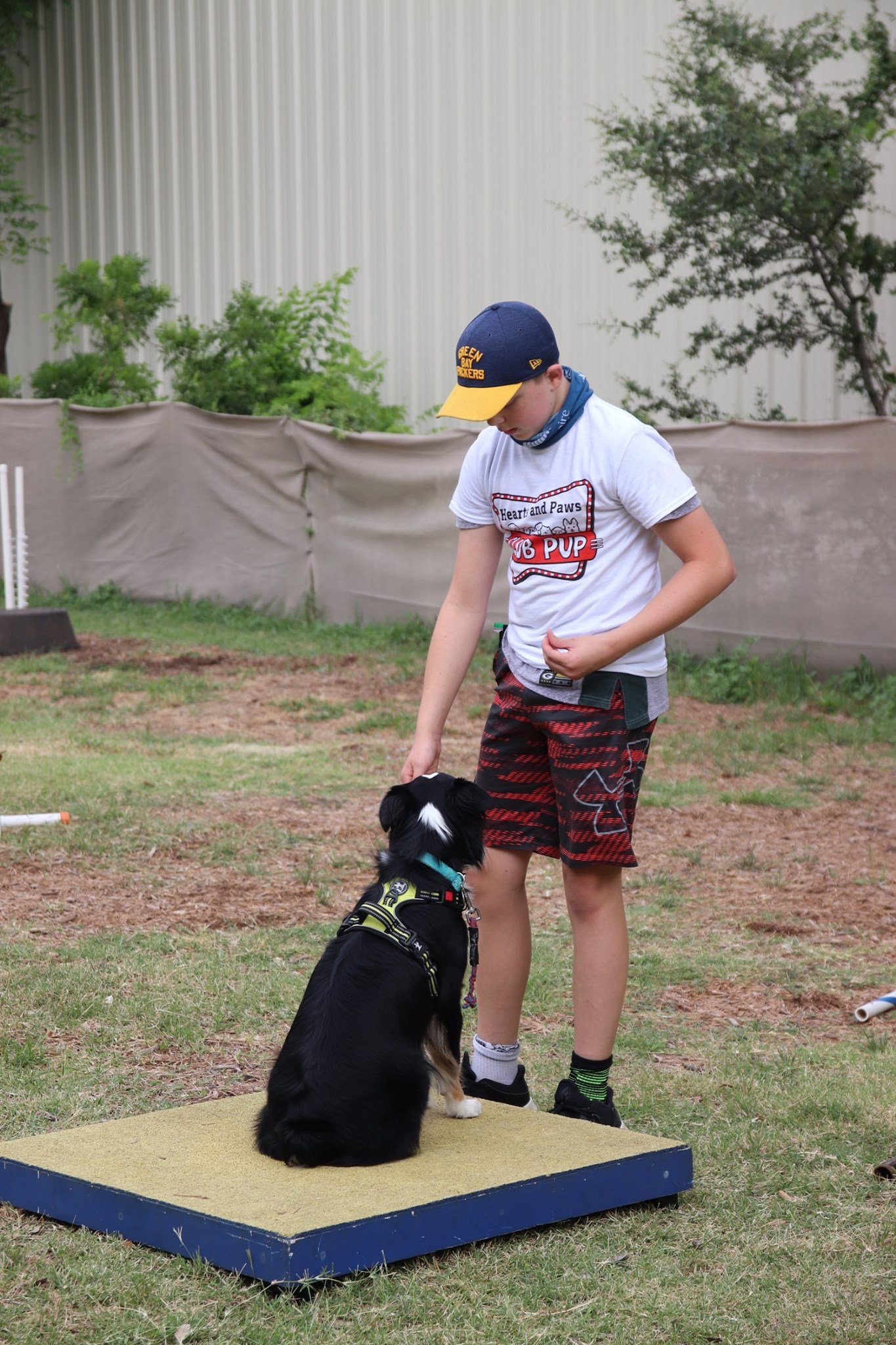 Club Pup Camp: Summer Fun and Learning for Dogs & Kids — Hearts and Paws