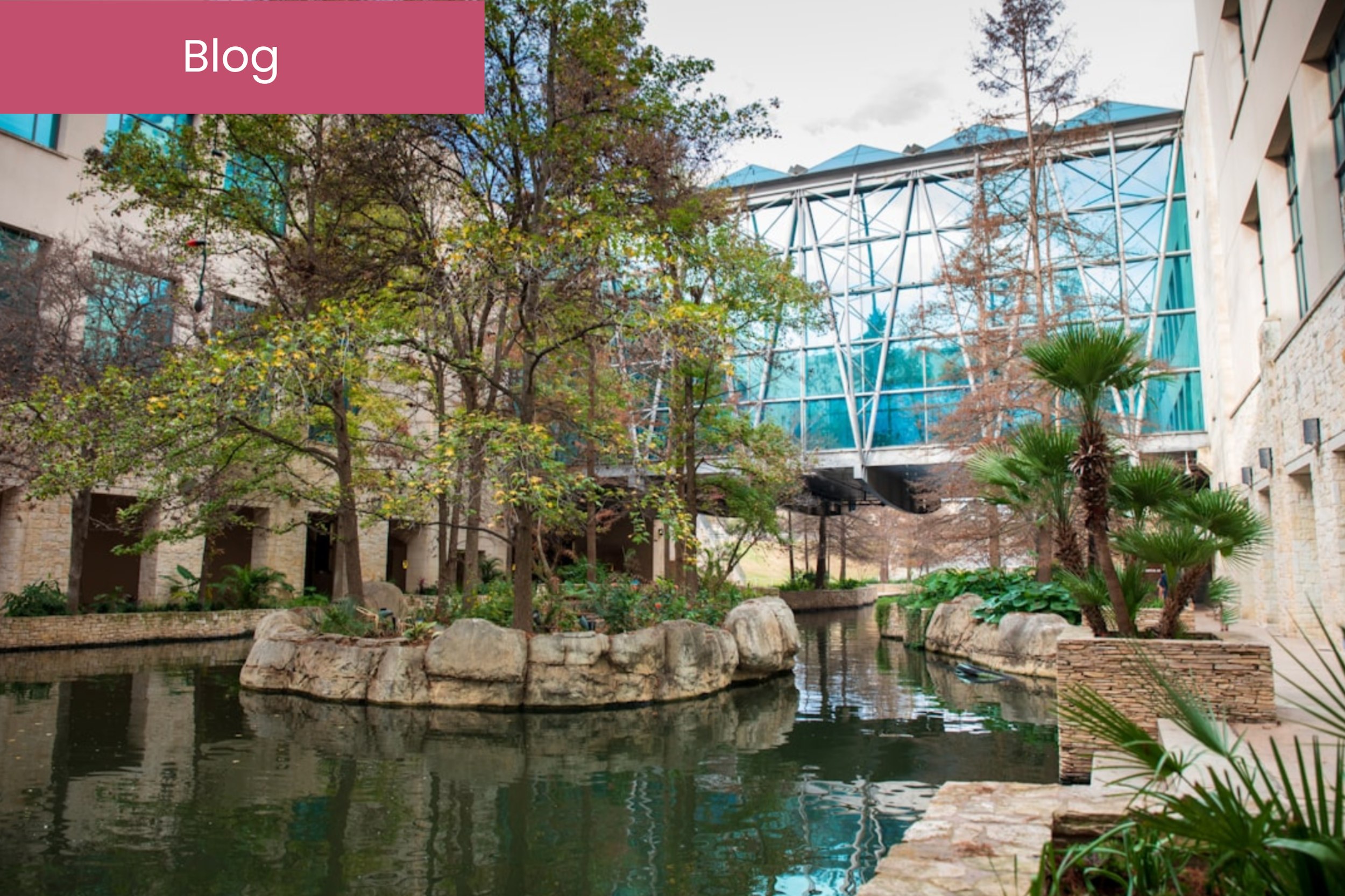 Living Building Certification: The Future of Sustainable Design and ...
