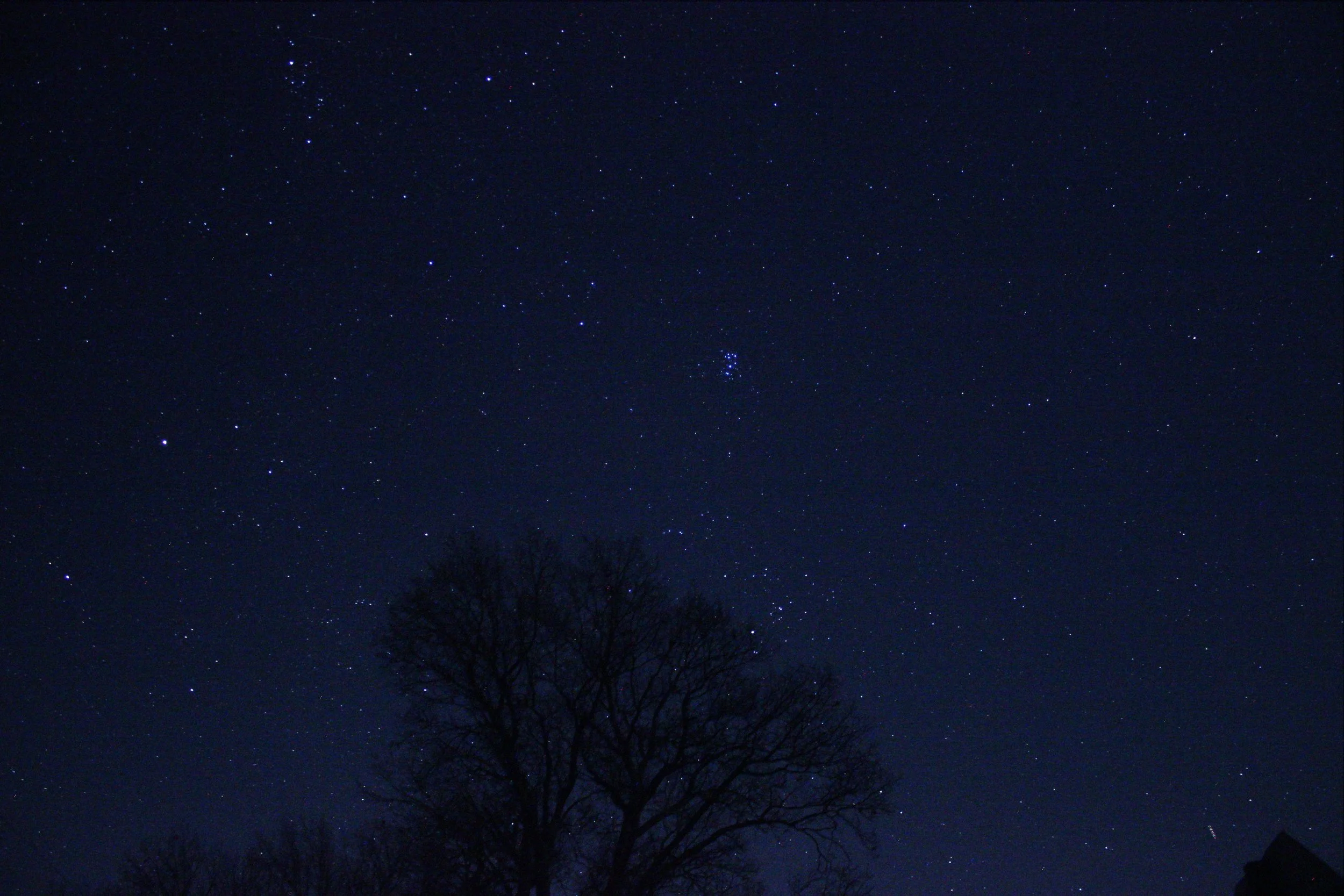 Dark sky — Potawatomi Wildlife Park