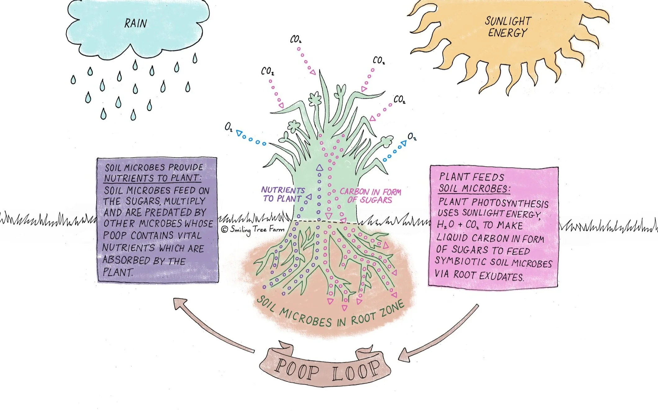The Poop Loop — Smiling Tree Farm