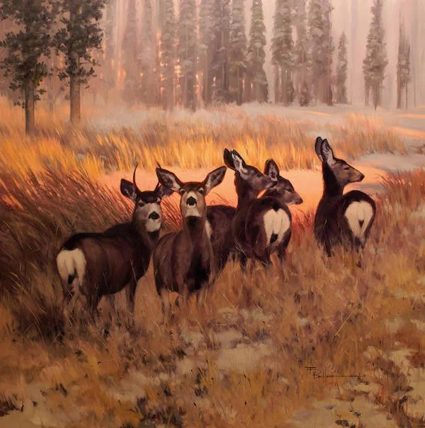 Ty Barhaug — Santa Fe Trails Fine Art