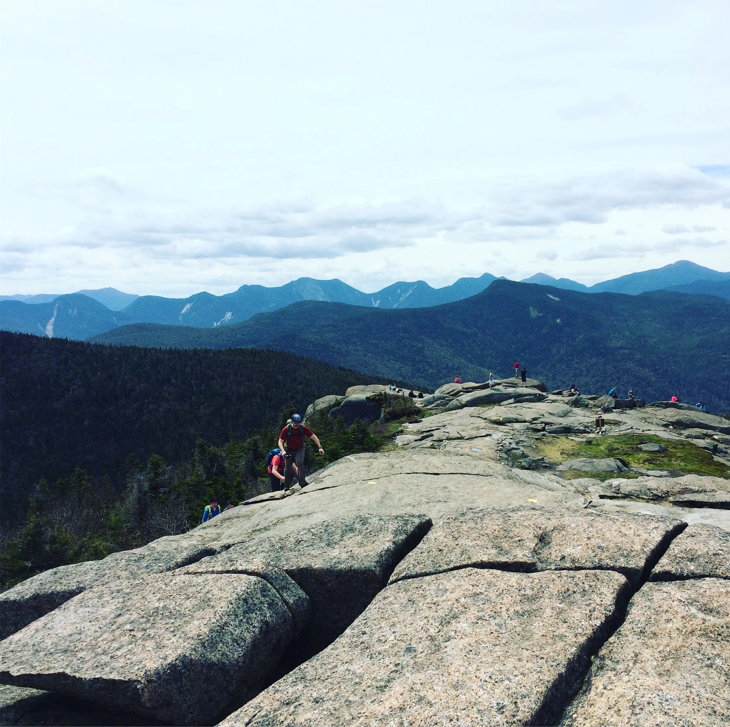 Services — Elevate Social Impact