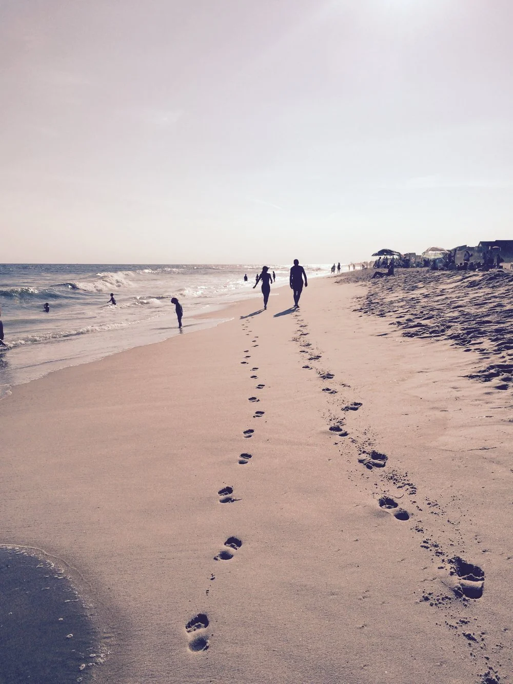 Services — Elevate Social Impact