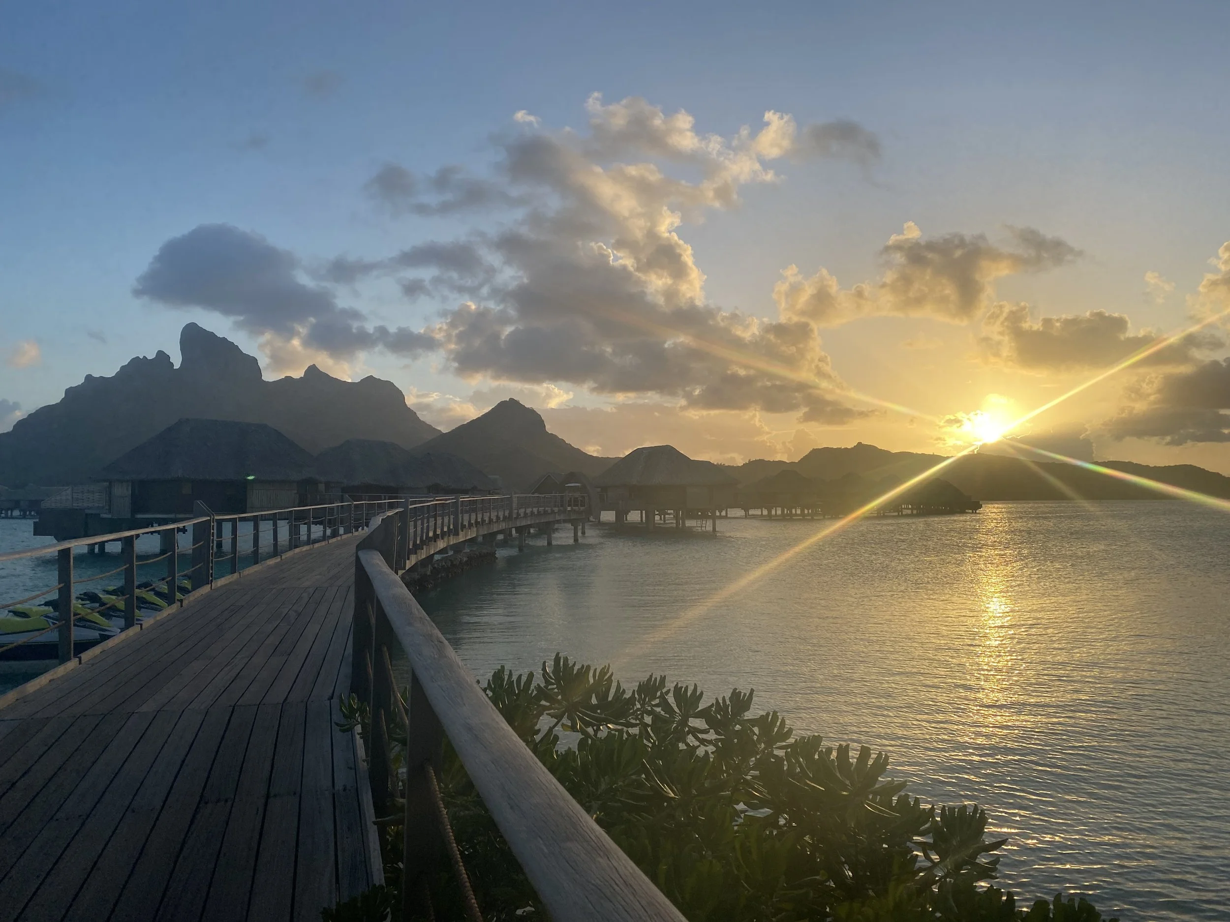 About — Elevate Social Impact