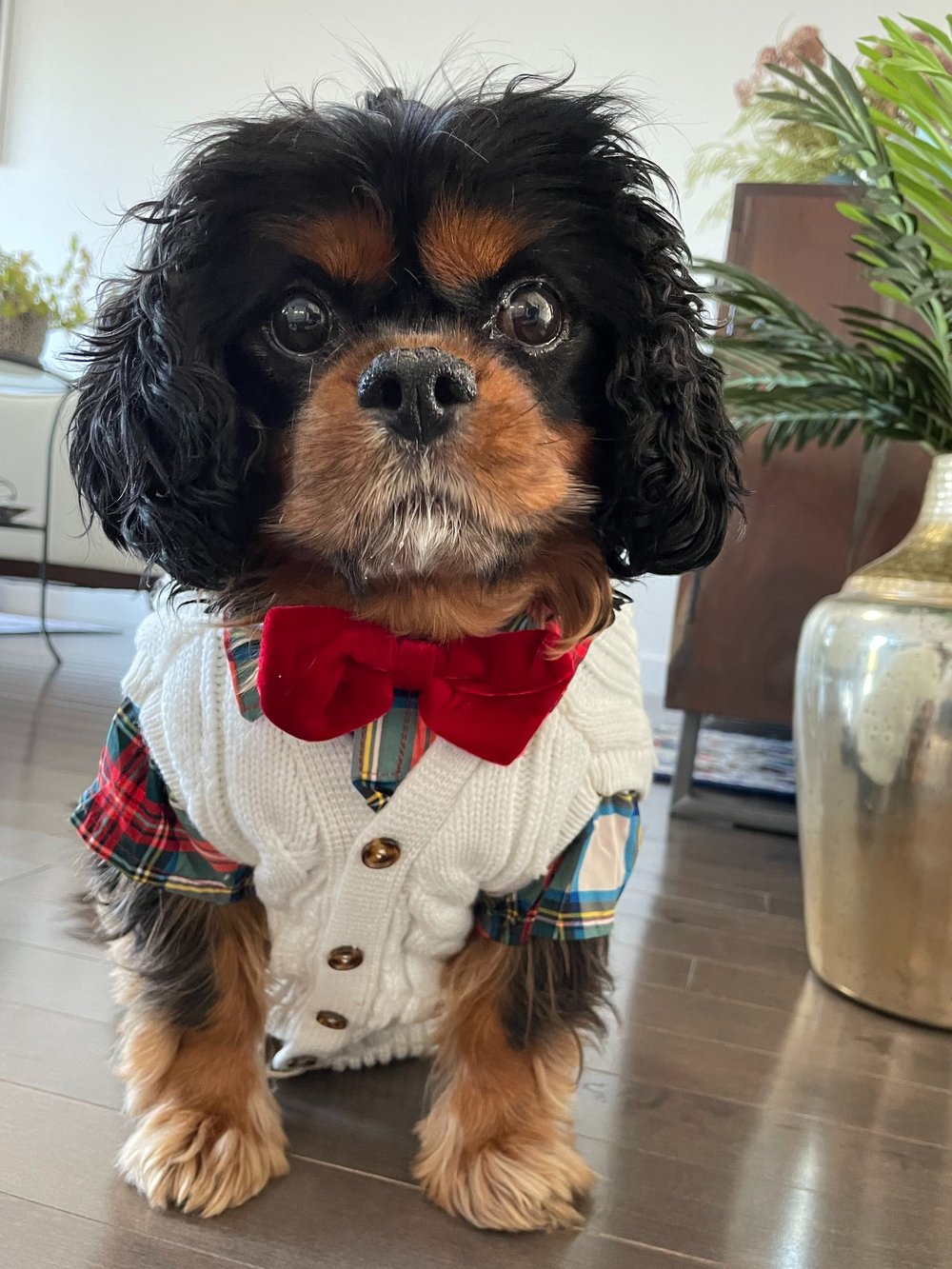 Our Team — Catalyst - Physio, Strength, Sport in Bedford, NS