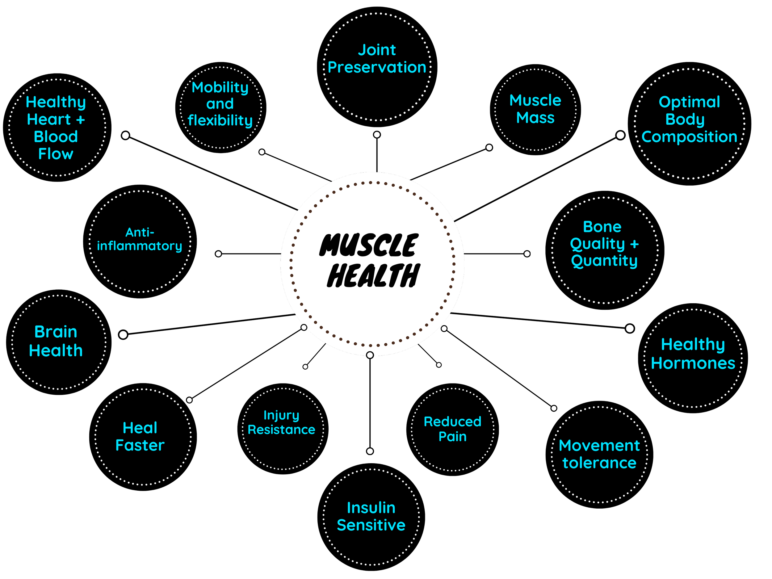 Strength Rehab — Catalyst - Physio, Strength, Sport in Bedford, NS