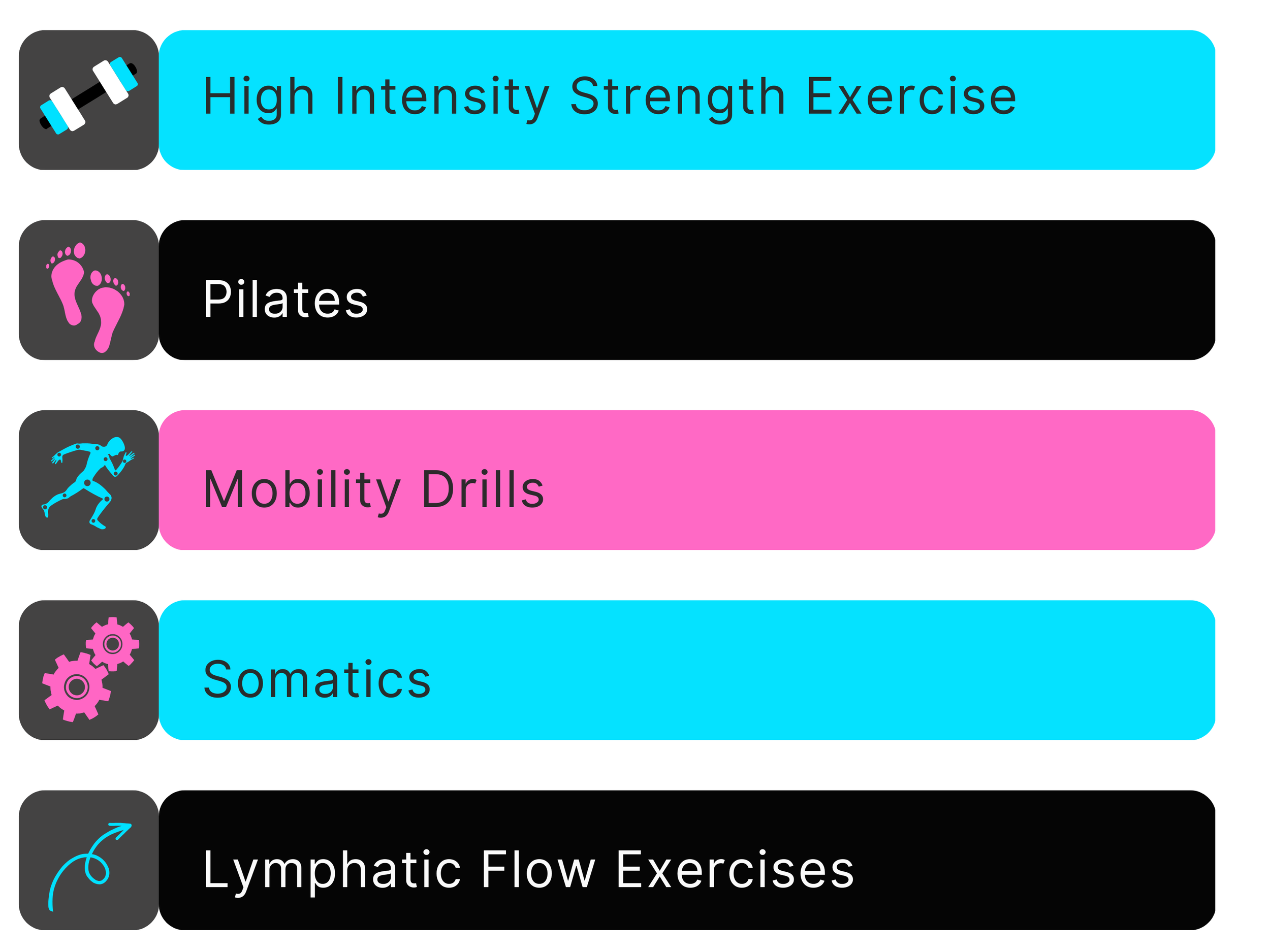 1:1 Physio — Catalyst - Physio, Strength, Sport in Bedford, NS