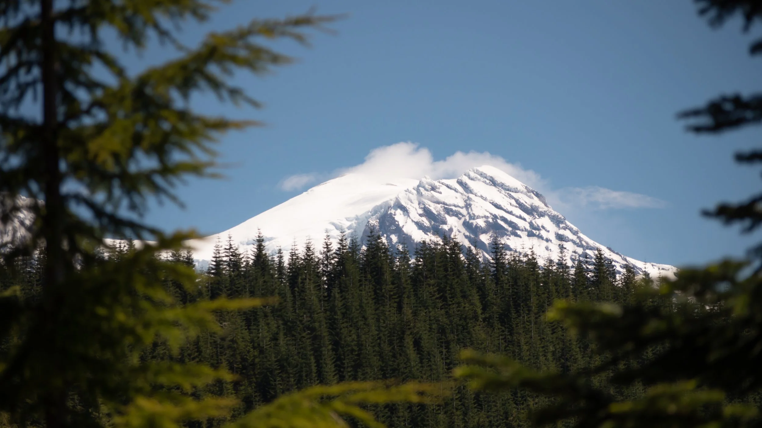 Success for Washington State Community Forests! — NORTHWEST COMMUNITY ...