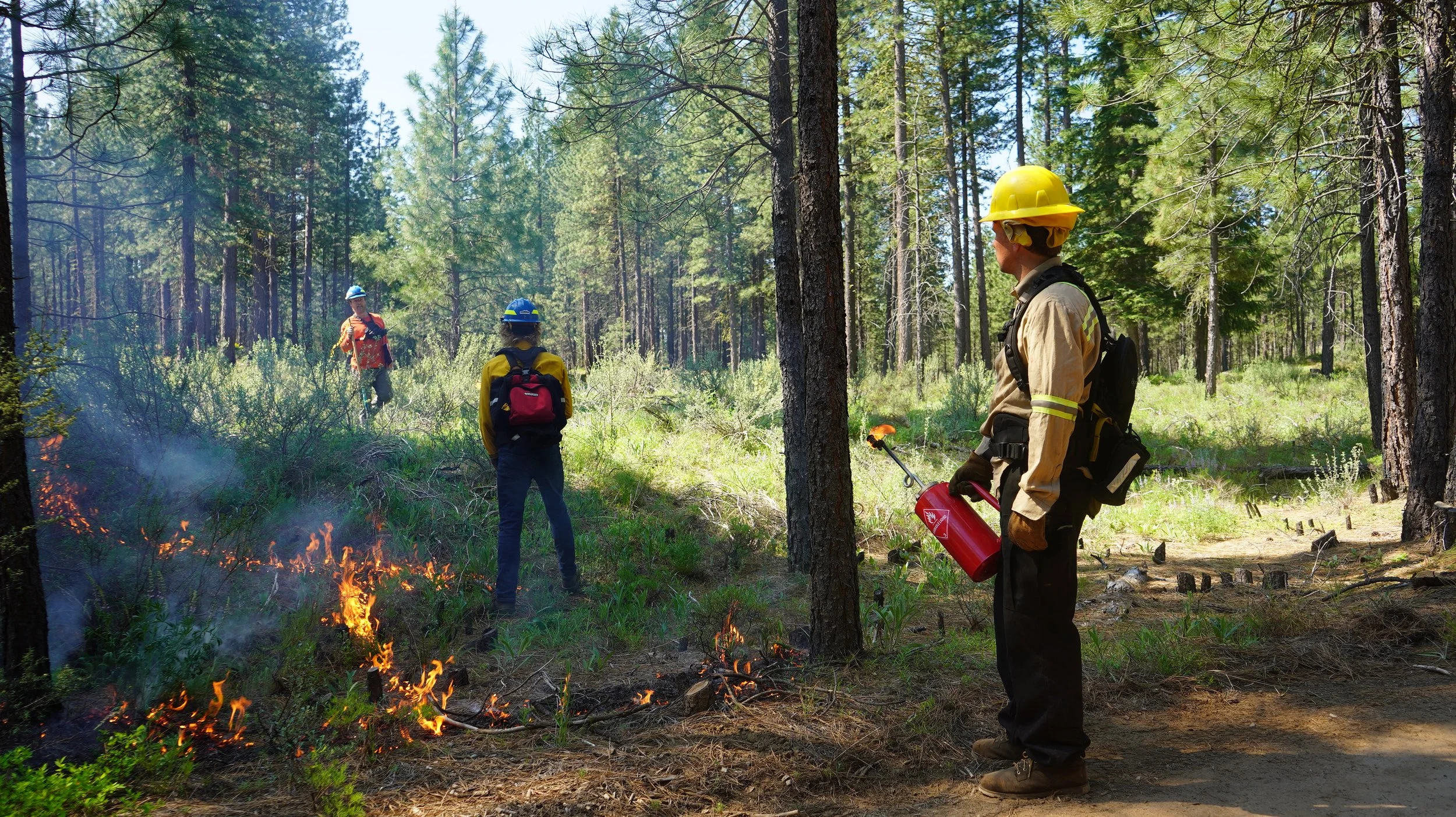 Upcoming Events — NORTHWEST COMMUNITY FORESTS