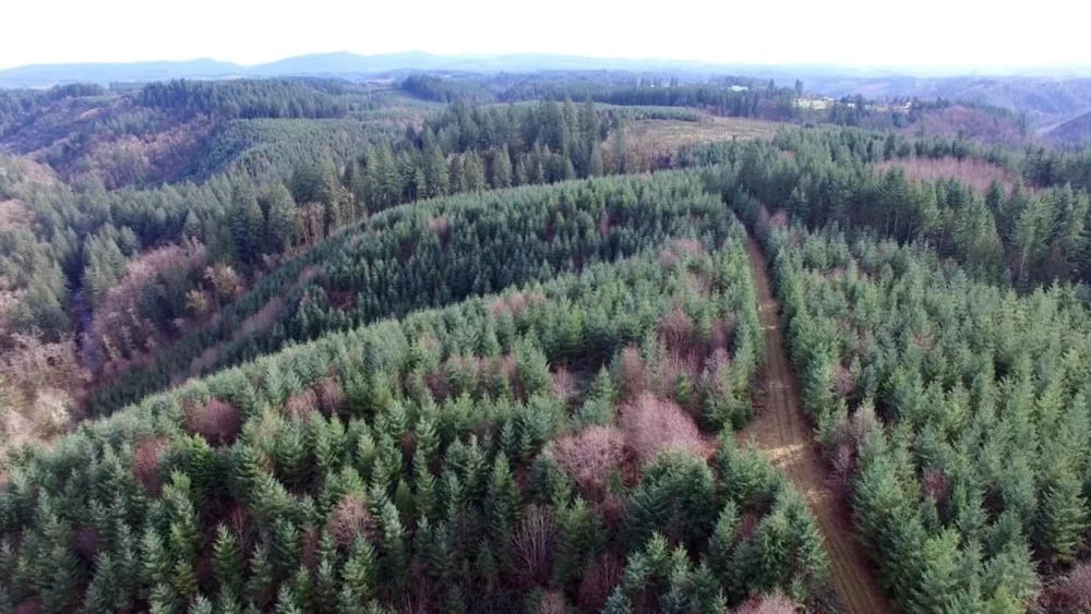 Upcoming Events — NORTHWEST COMMUNITY FORESTS