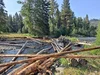 Teanaway Community Forest — NORTHWEST COMMUNITY FORESTS
