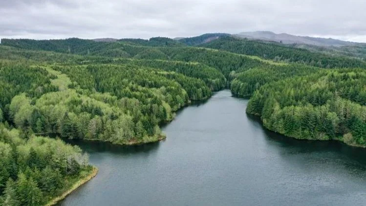 Bear Ridge Community Forest — NORTHWEST COMMUNITY FORESTS