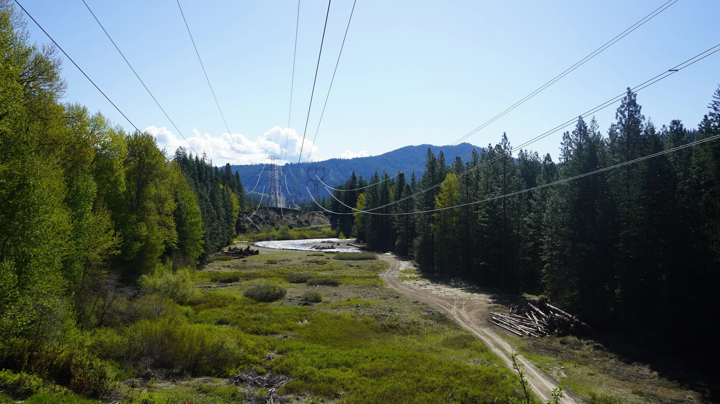 Community Forest to Me — NORTHWEST COMMUNITY FORESTS