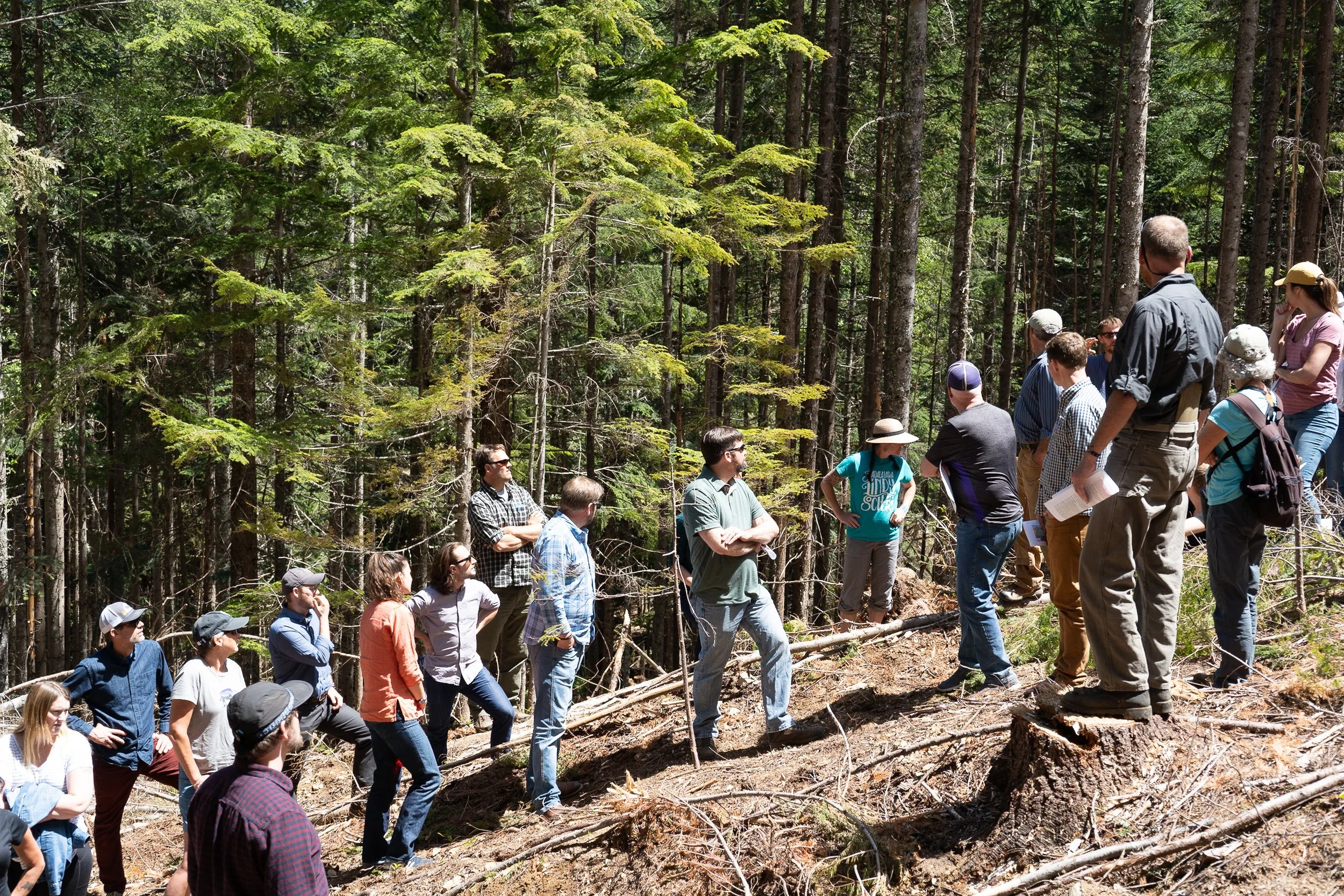 Community Forests 101 — NORTHWEST COMMUNITY FORESTS