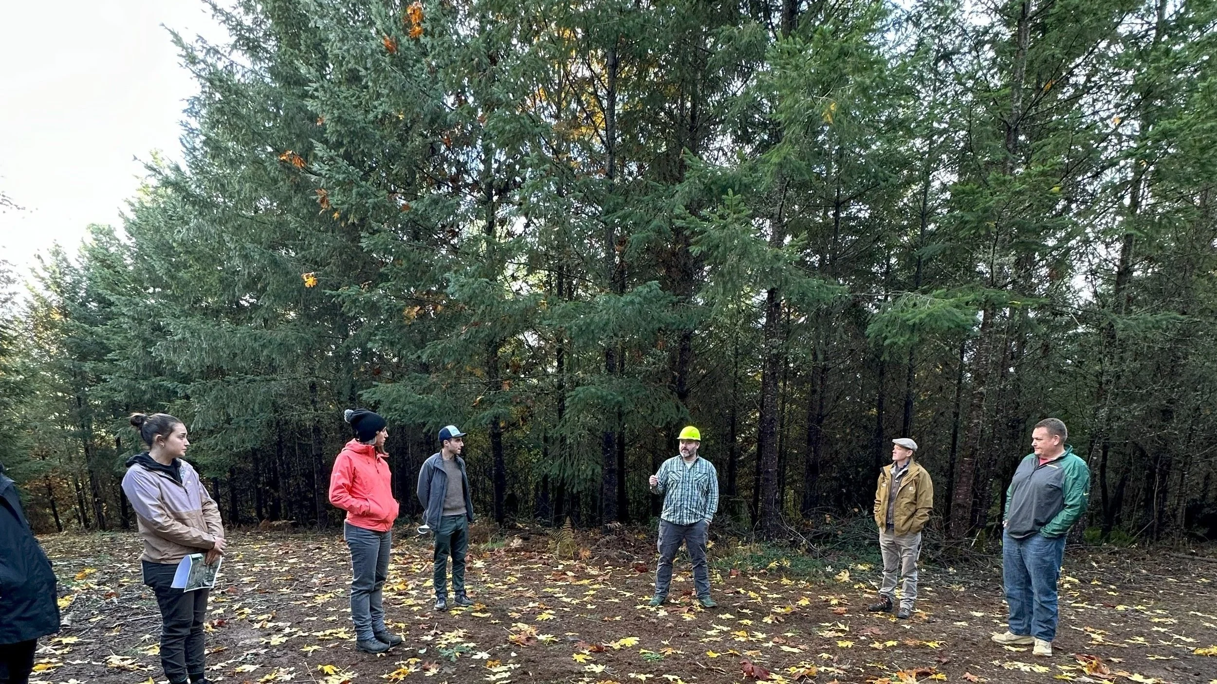 Coalition Winter Quarterly Meeting — NORTHWEST COMMUNITY FORESTS