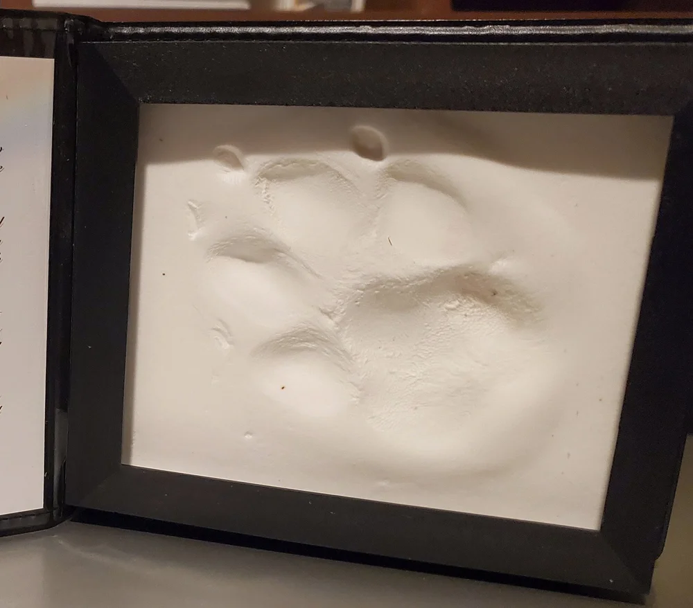 Ink Nose Impression — Peaceful Pines Pet Memorials