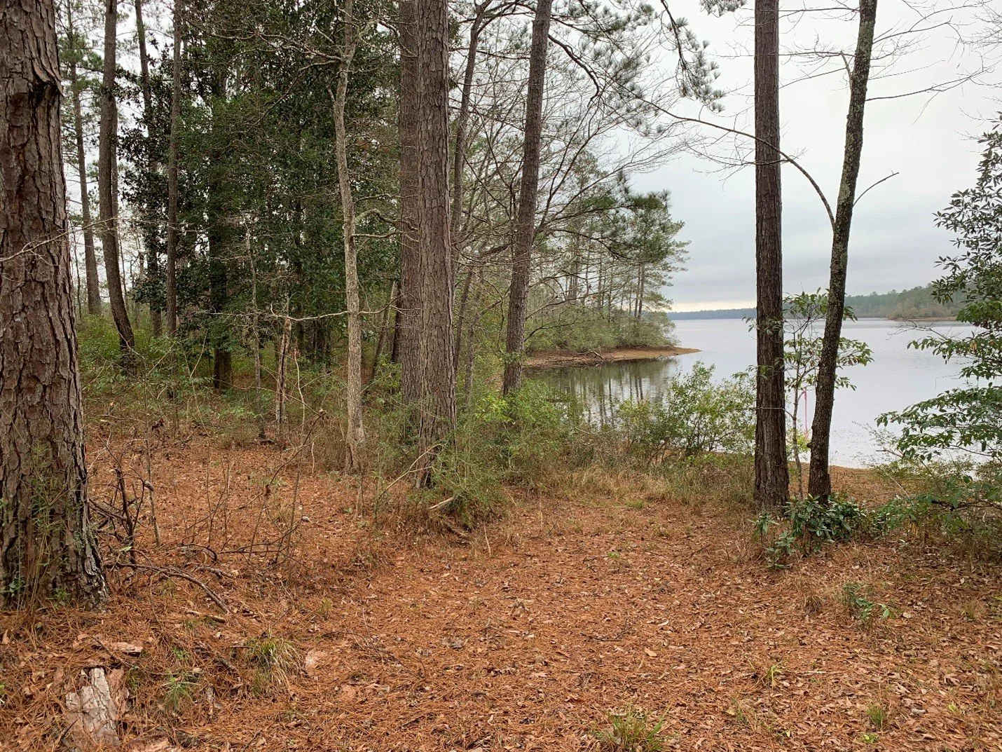 Flint Creek Water Park Horse Trail, Wiggins, Mississippi — Tice ...