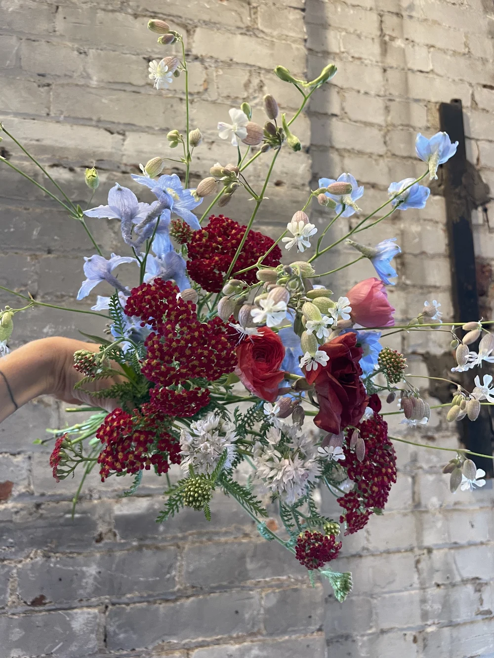 Shop — Sand Lake Merchant