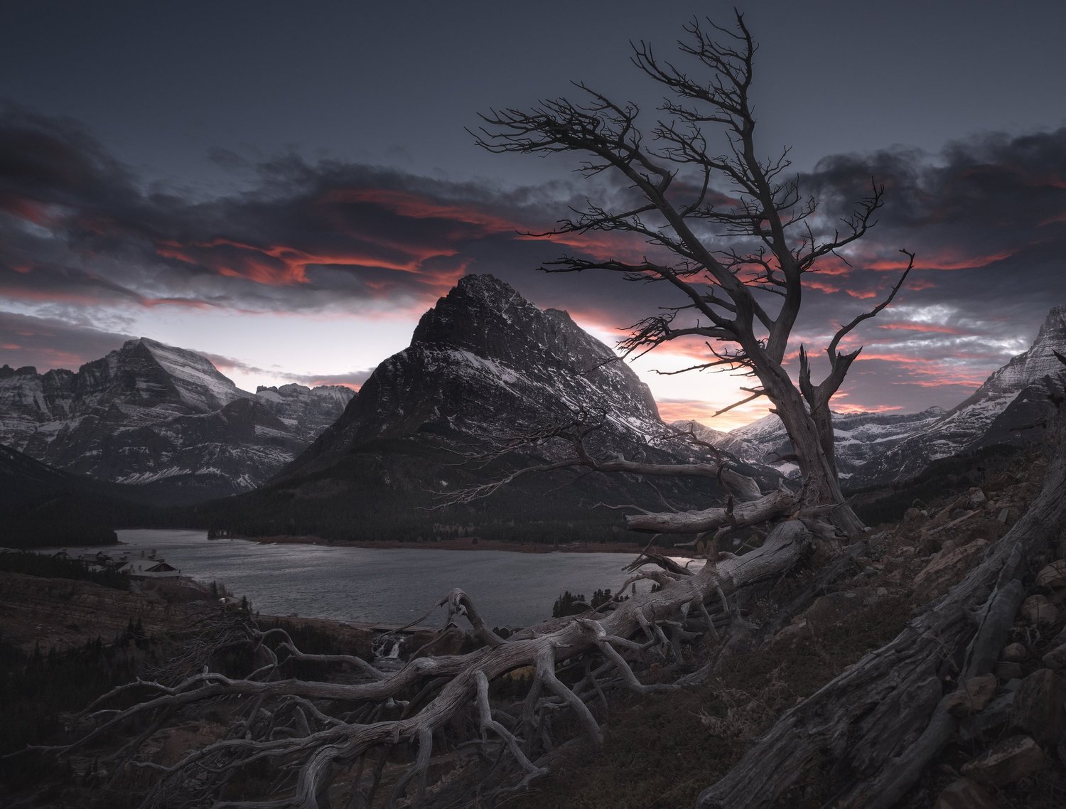 International Gallery — Blake Randall Photography
