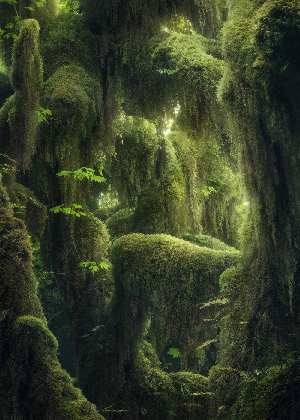 International Gallery — Blake Randall Photography