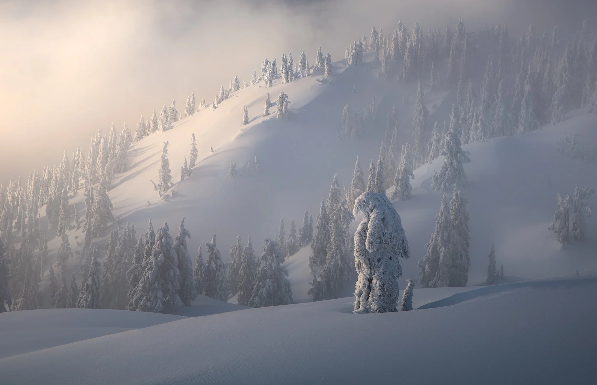 Luxury Fine Art Photography — Blake Randall Photography