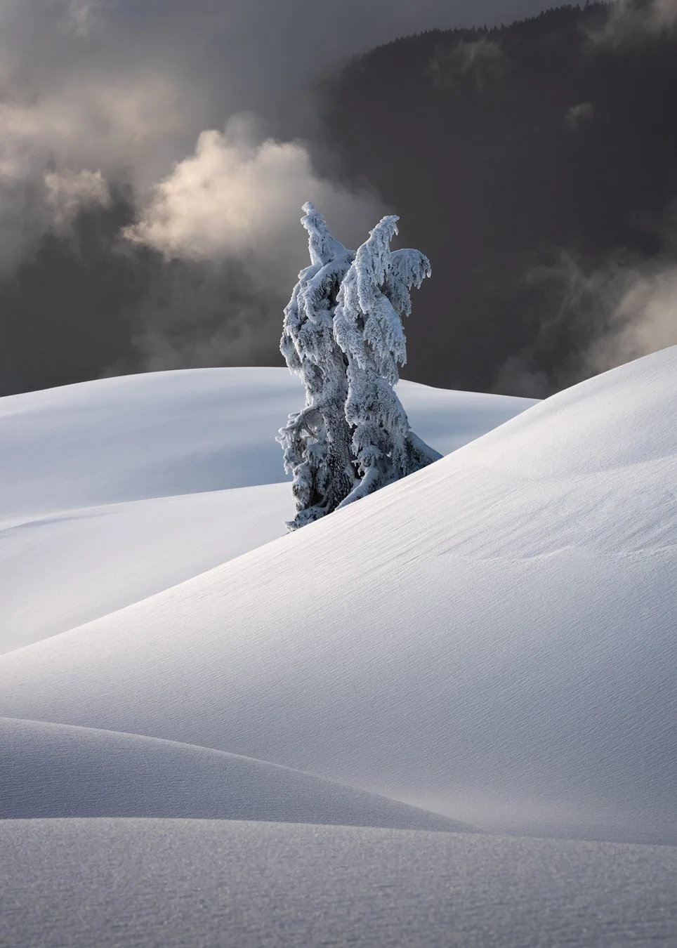 Services 1 — Blake Randall Photography