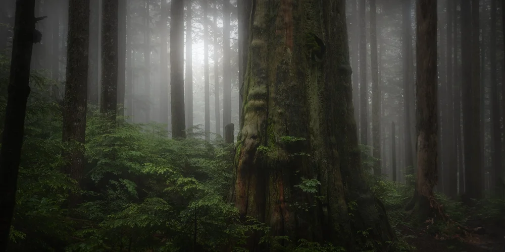 Panoramic Images — Blake Randall Photography