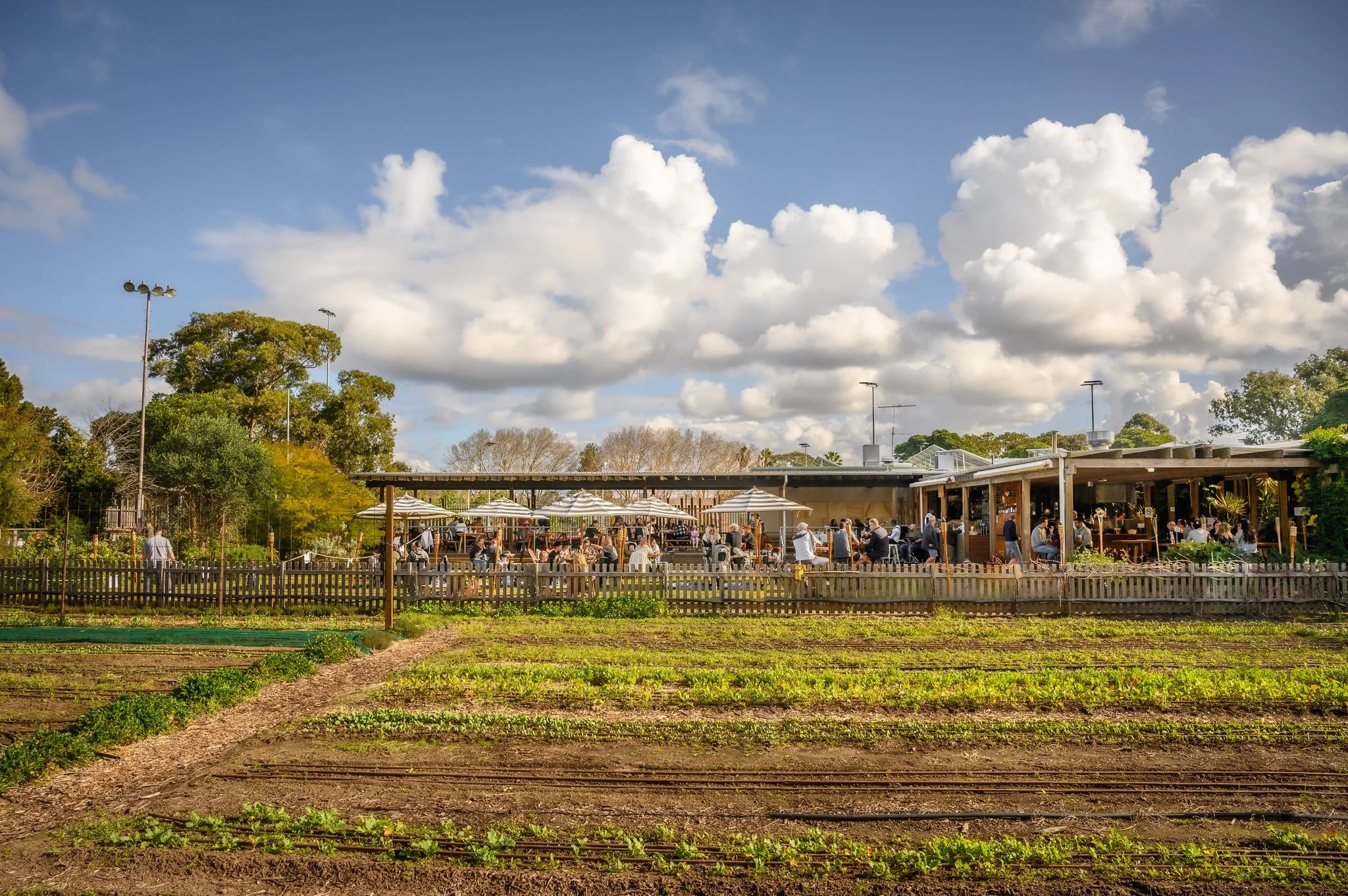 What's On — Camperdown Commons