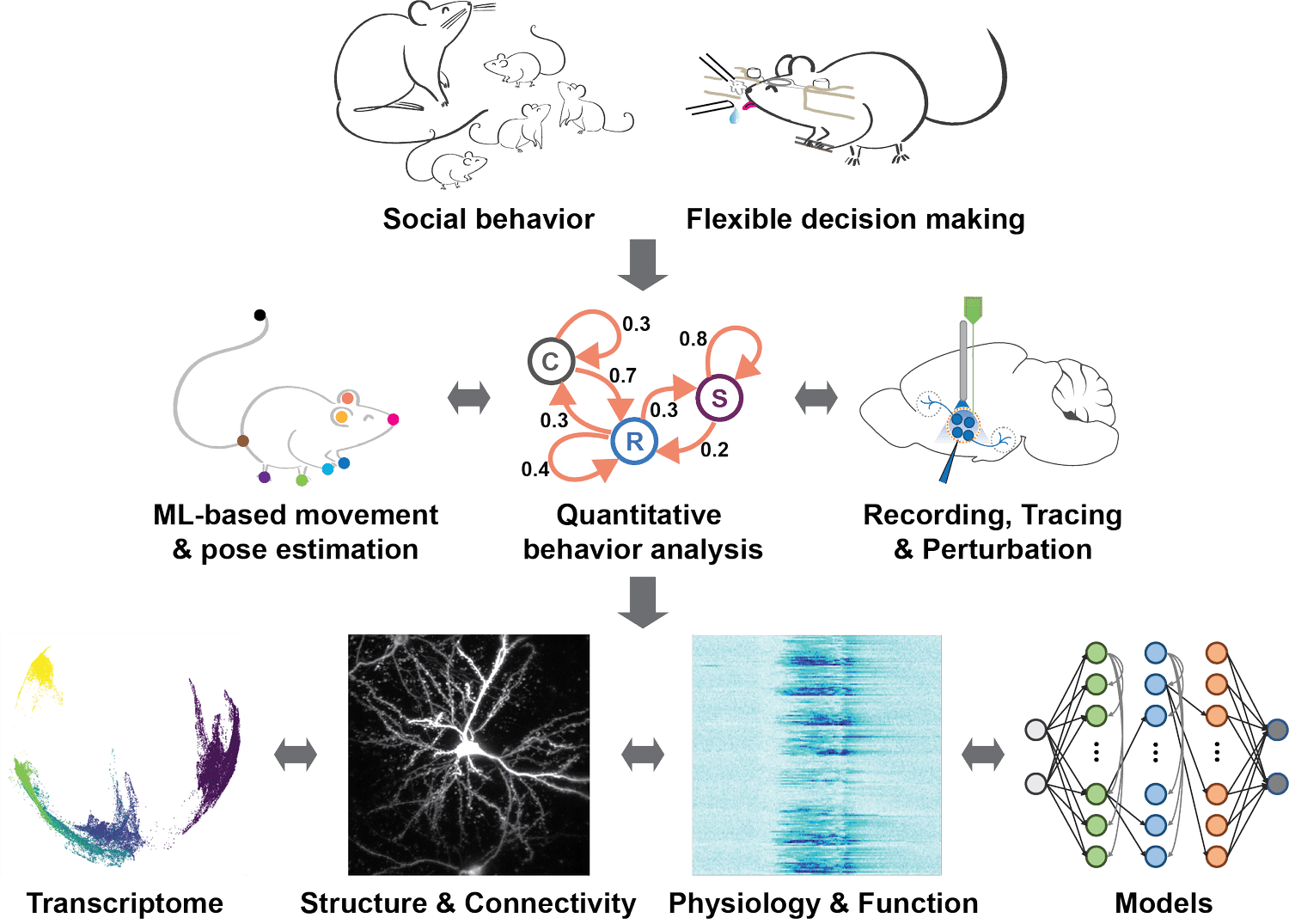 Research — Wu Lab