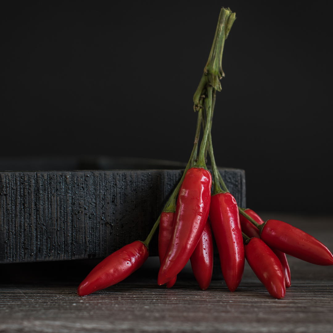 My Burrito Kitchen News — My Burrito