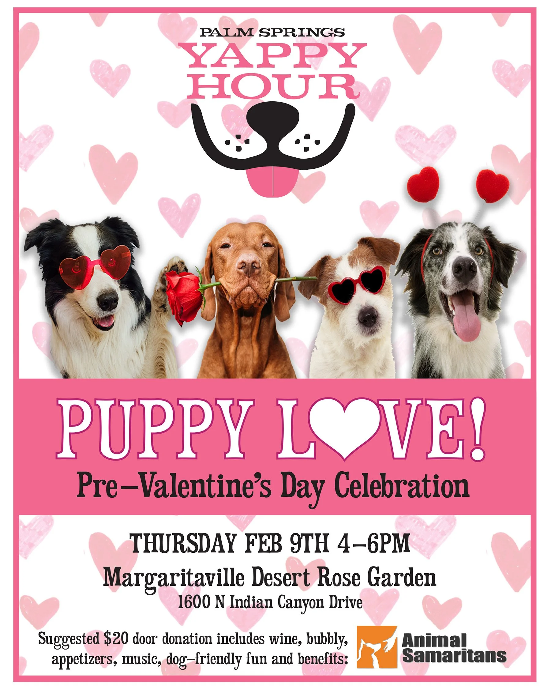 Events — Animal Samaritans