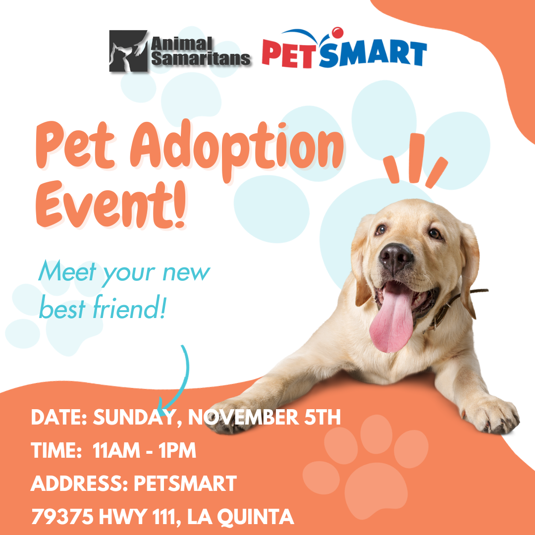 Events — Animal Samaritans