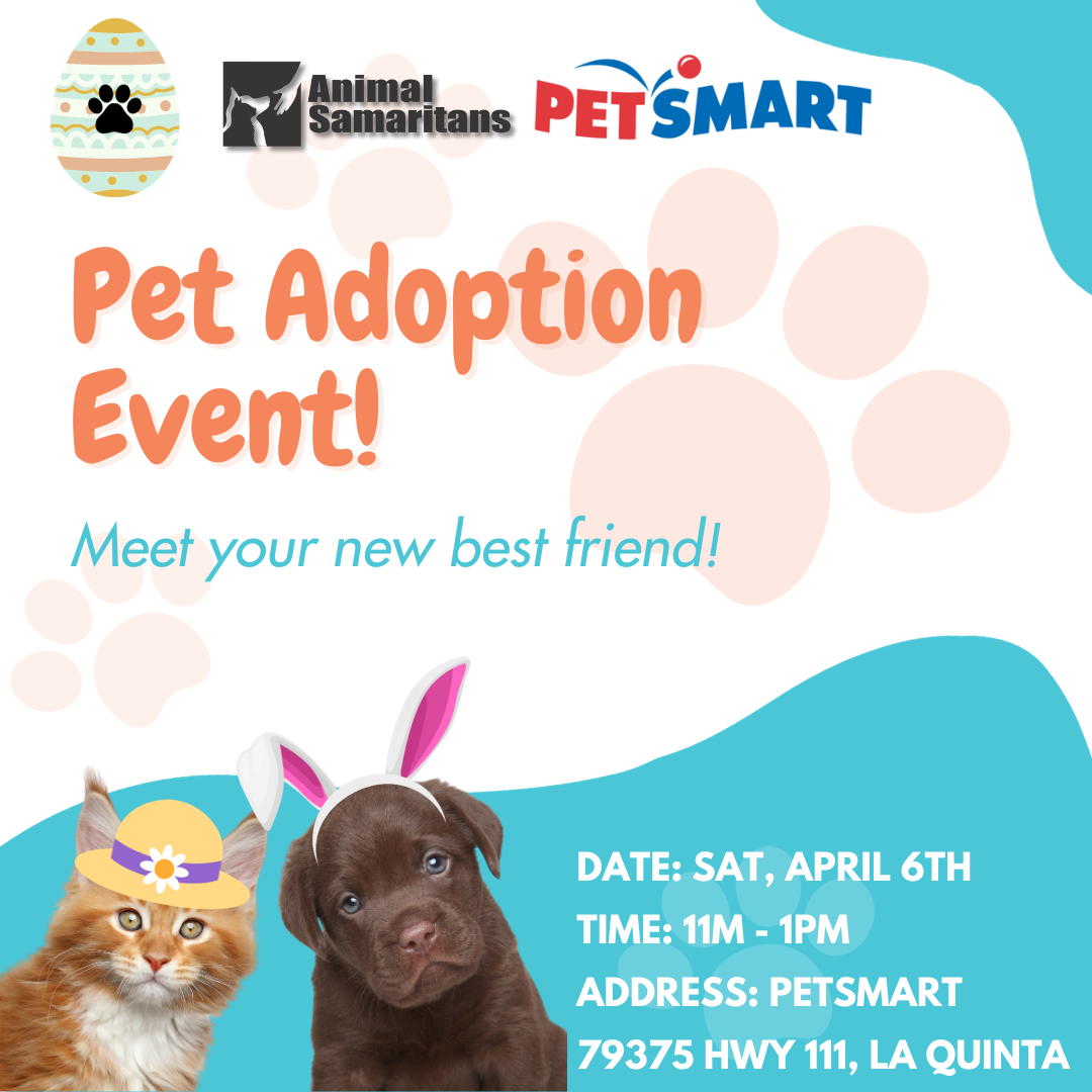 Events — Animal Samaritans