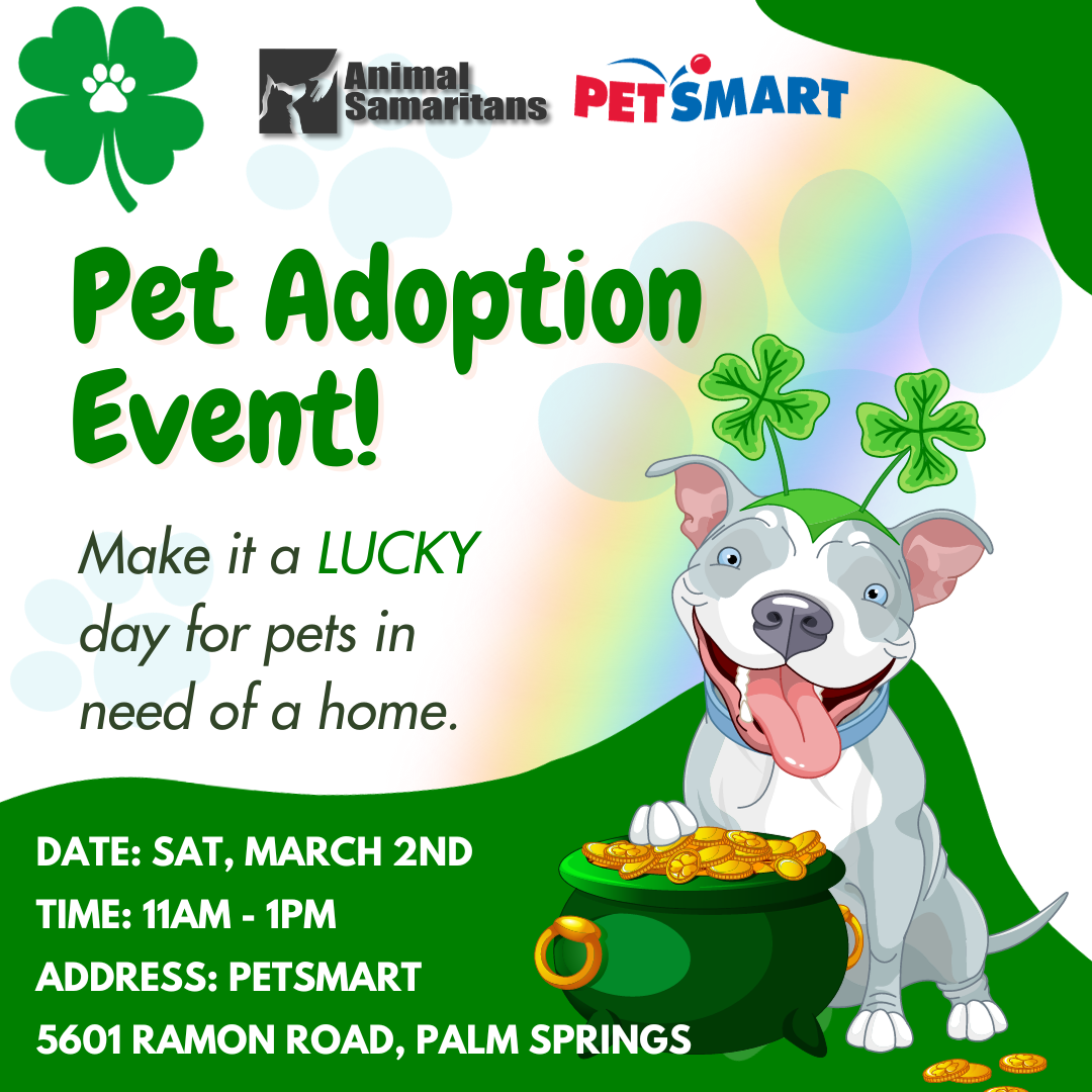 Events — Animal Samaritans