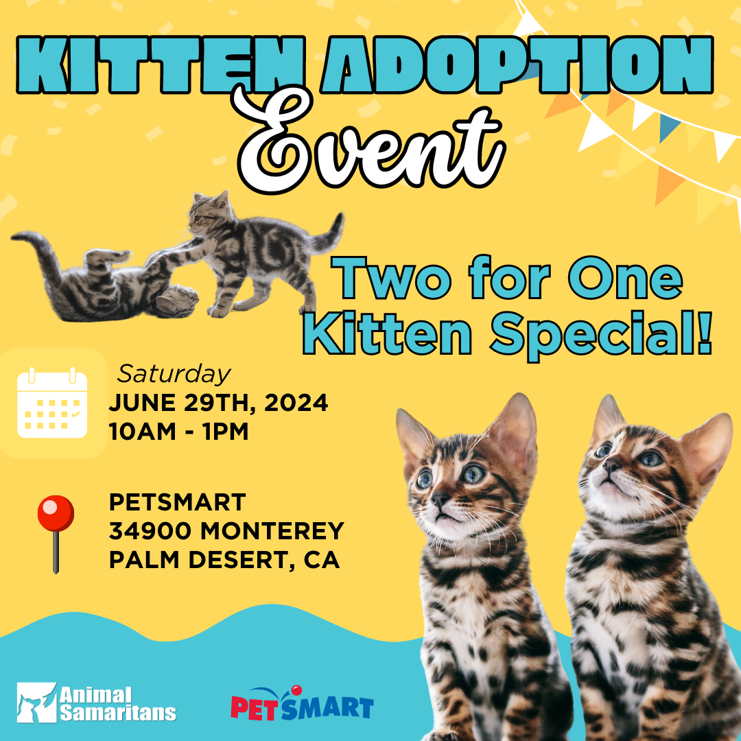 Events — Animal Samaritans