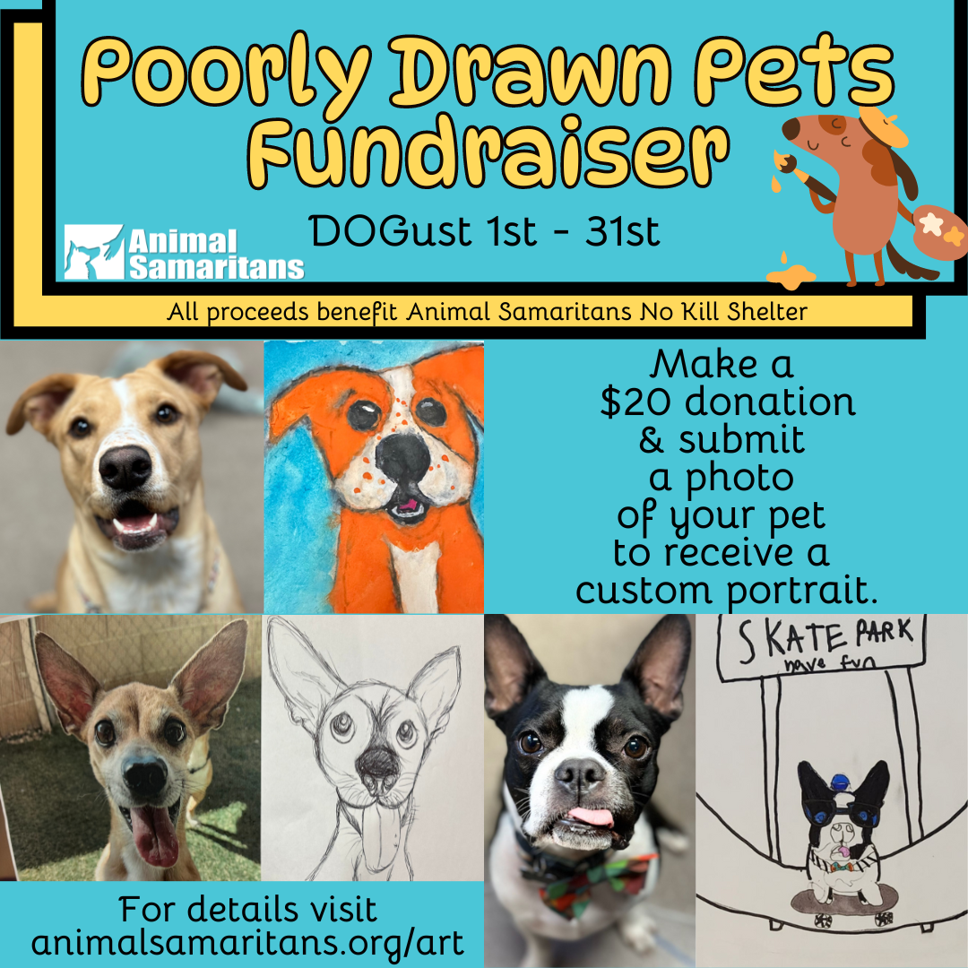Events — Animal Samaritans