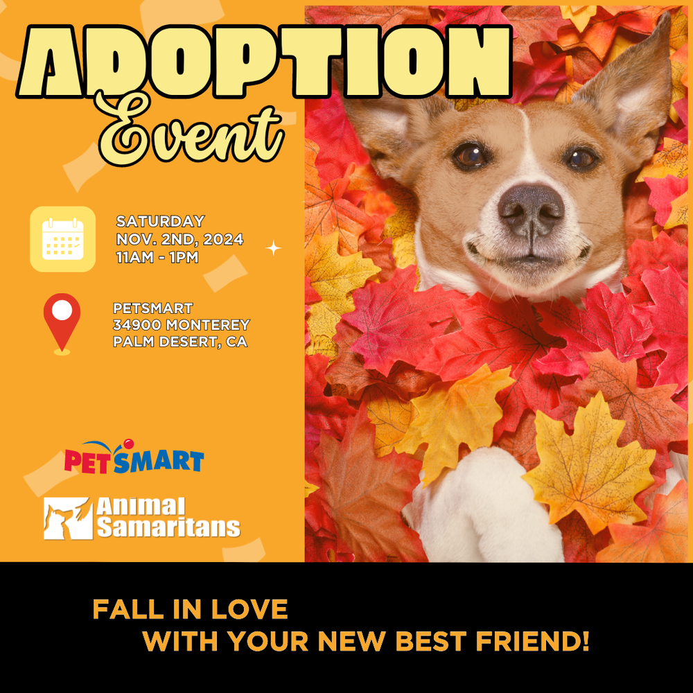 Events — Animal Samaritans