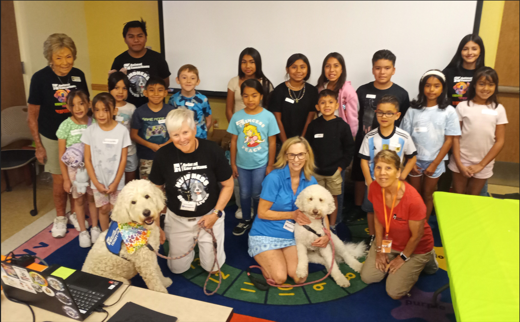 Volunteer with Animal Samaritans — Animal Samaritans