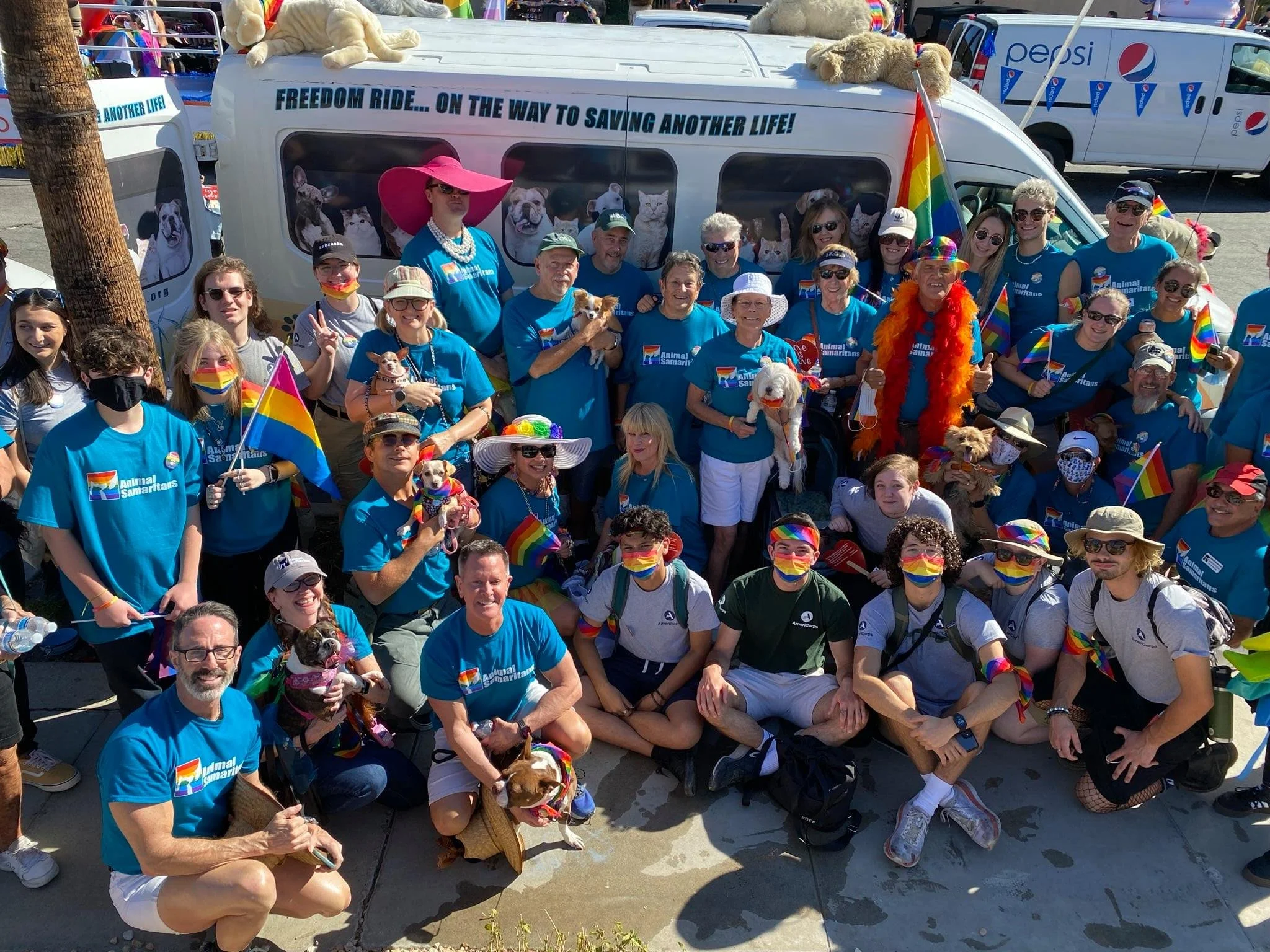 Volunteer — Animal Samaritans