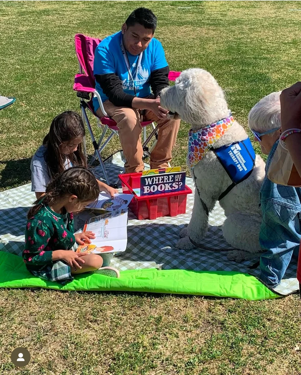 Volunteer with Animal Samaritans — Animal Samaritans