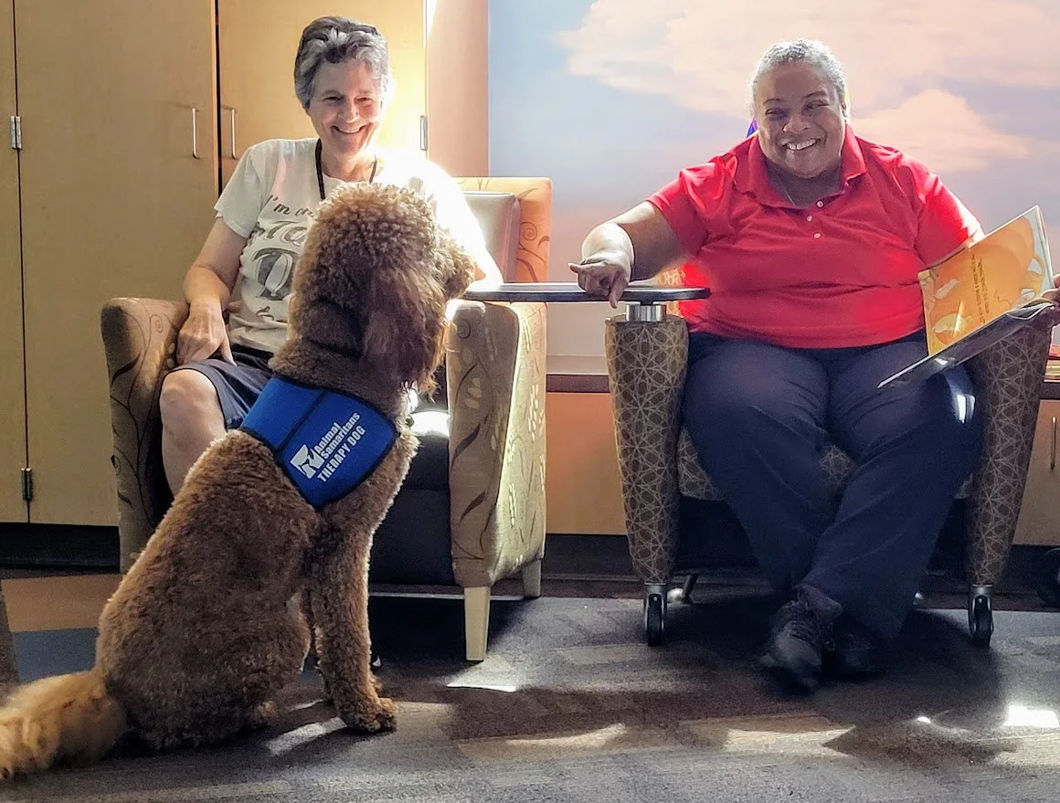 Volunteer — Animal Samaritans