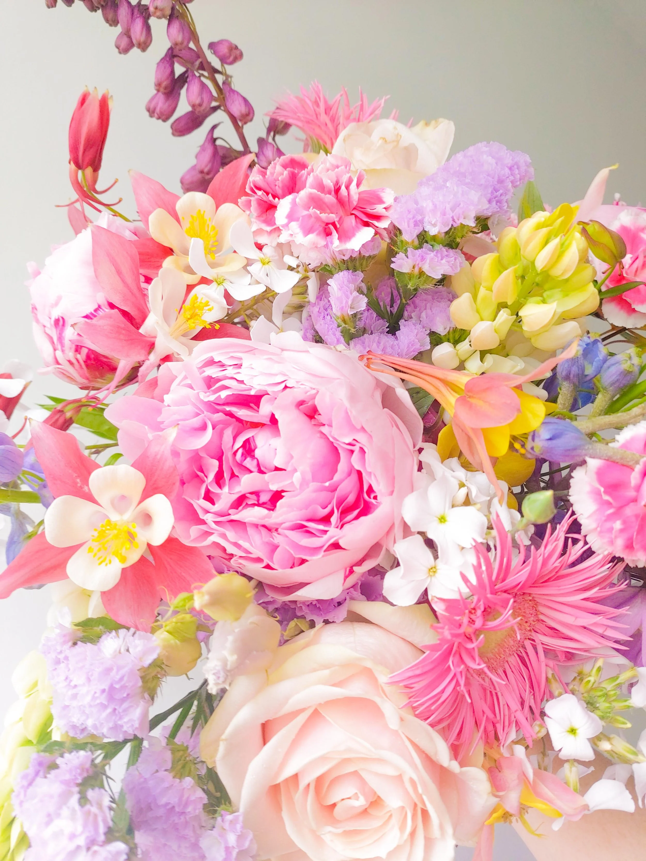 Our Flowers | Discover Floral Elegance — Soah Flowers is a cut flower ...