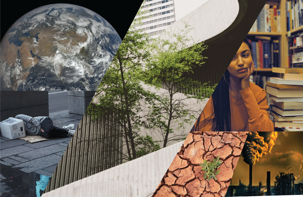 SDG Publishers Compact Fellows