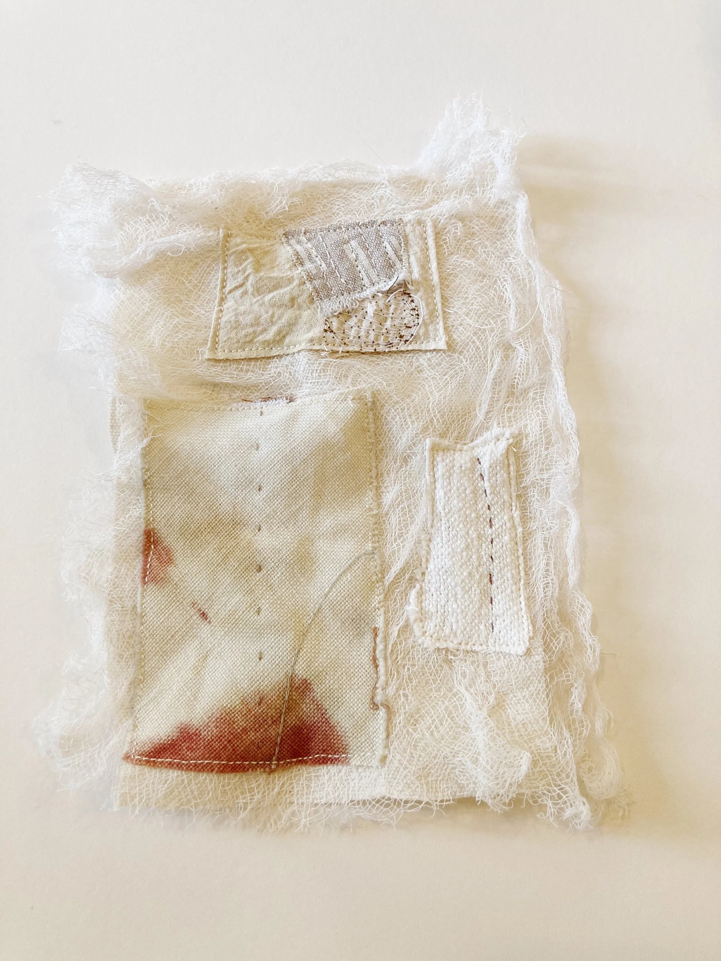 Meghan Pauley Nespeca Studio