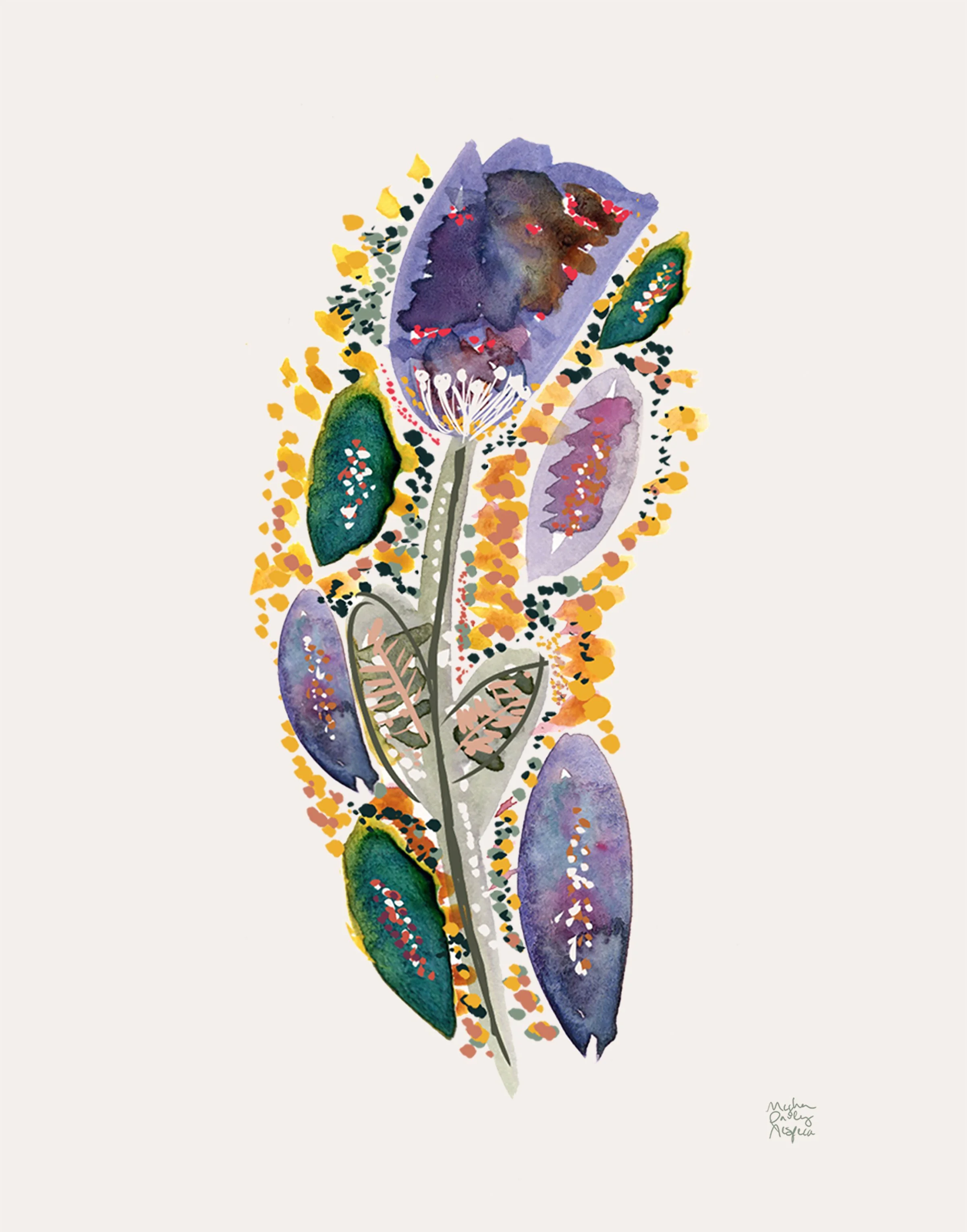 Meghan Pauley Nespeca Studio