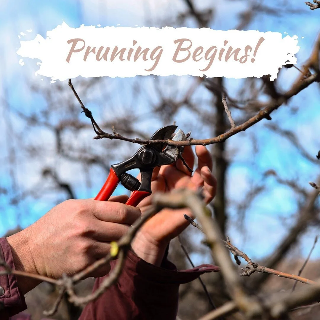 Minnetonka Orchard Official Website | Apples, Wedding and Event Venues ...