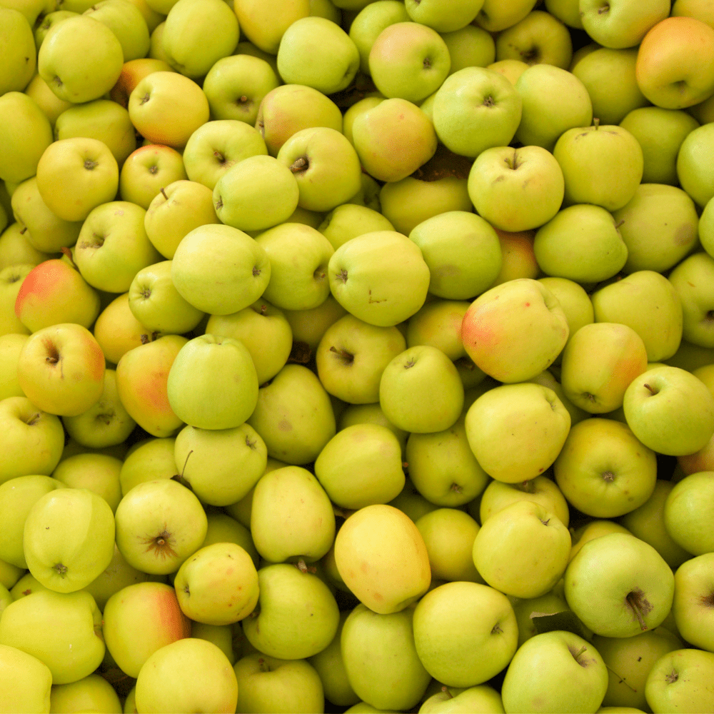 Honey Gold Apples - Taste, recipes and more — Minnetonka Orchard
